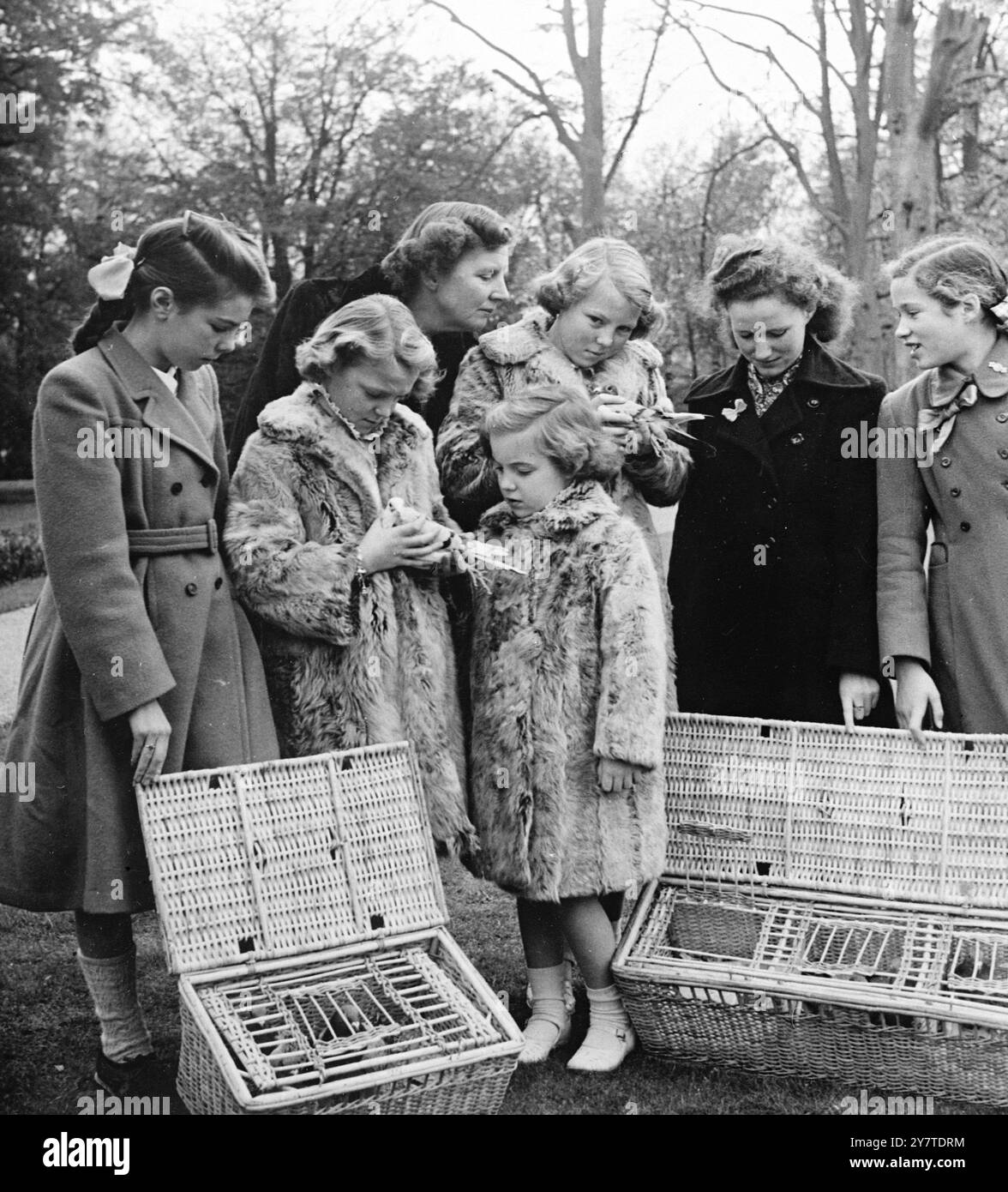 NEW PICTURES OF DUTCH ROYAL FAMILY These pictures of the Dutch Royal ...