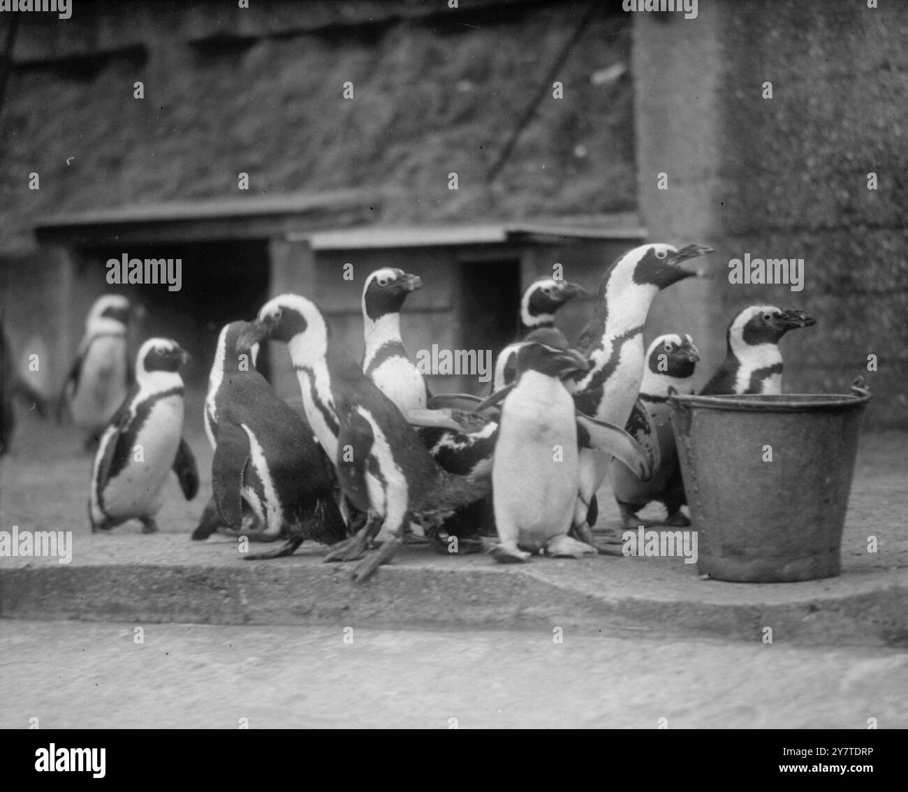 Noisily Black and White Stock Photos & Images - Alamy