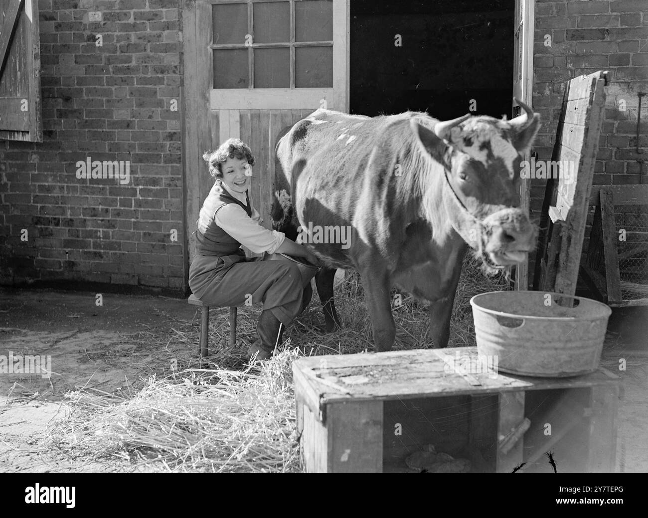 Jean Kent on farm at Hartfield near East Grinstead February 21 1950 ...