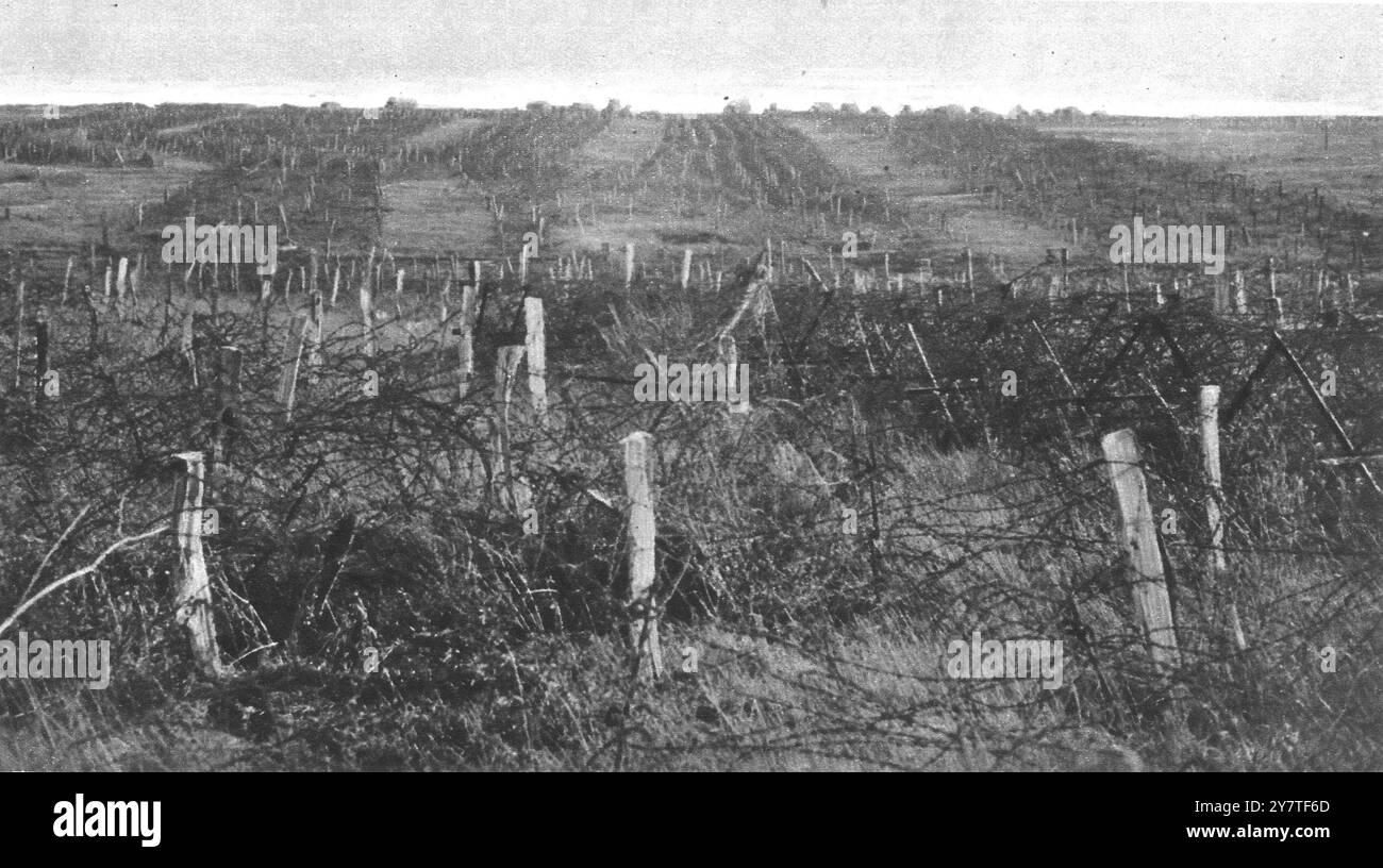 Ww1 battlefield barbed wire hi-res stock photography and images - Alamy