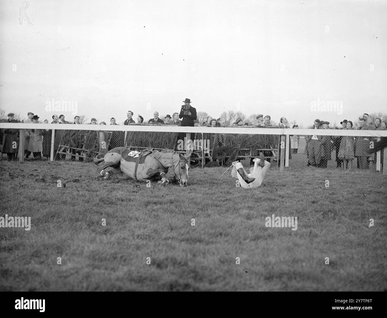 HORSE-JOCKEY TUMBLE AT WINDSOR As Mrs .M. Lang's Blue Ricky makes a ...