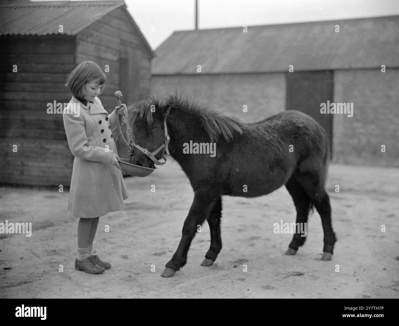 PRIINCE CHARLES ' FIRST PONY - Prince Charles, son of Princess ...