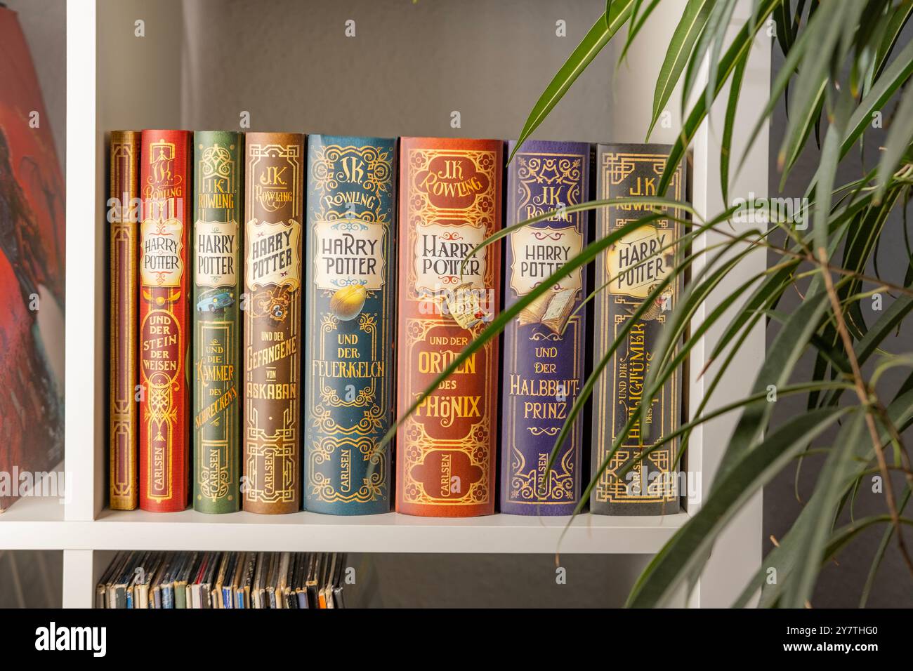 complete colorful collection paper books by JK Rowling about Harry ...