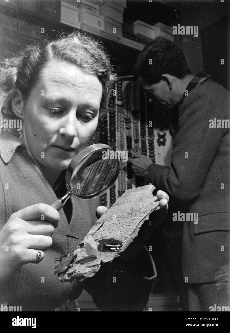 Connoisseur of beauty A warden of beauty is Mr Leonard Newman of Bexley ...