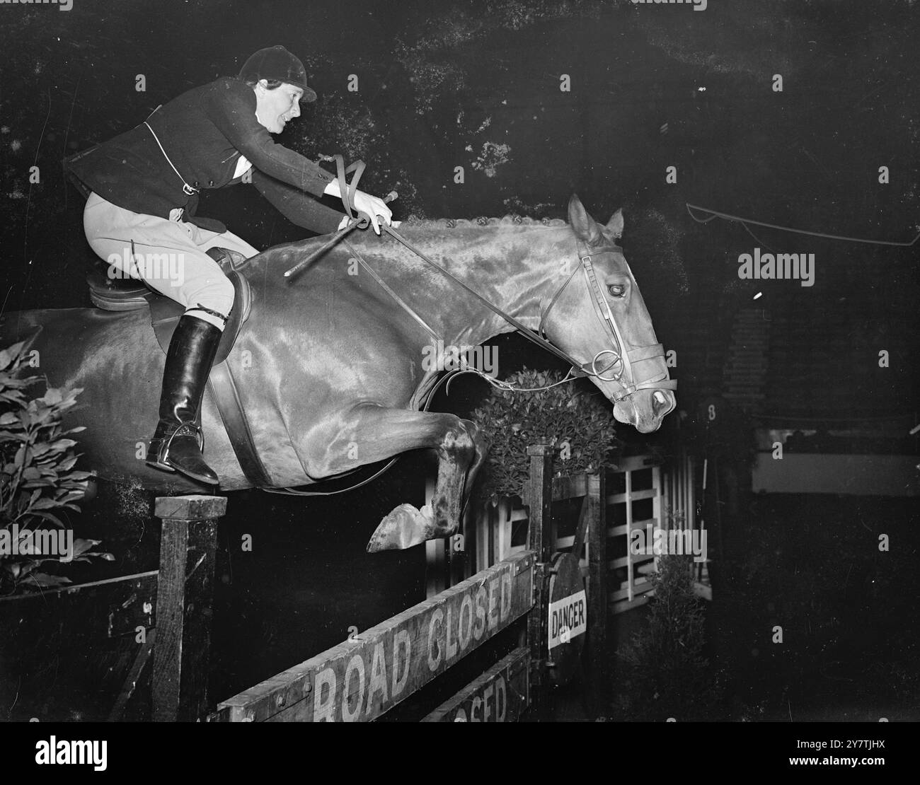 Horse of the Year champsionships , first indoor show to be staged in ...