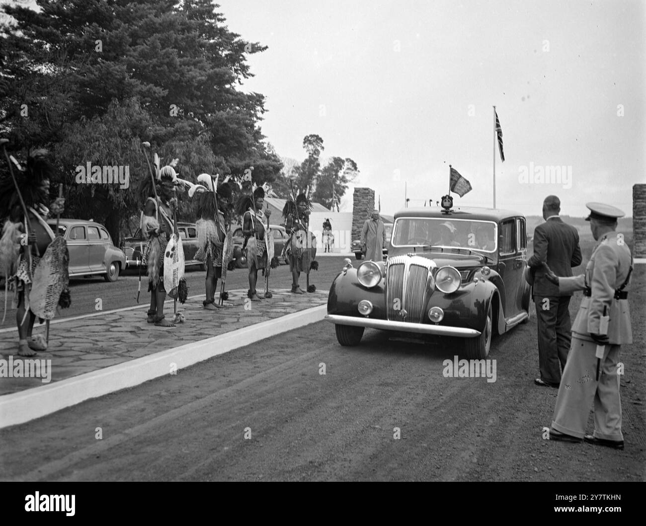 King leopard Black and White Stock Photos & Images - Alamy
