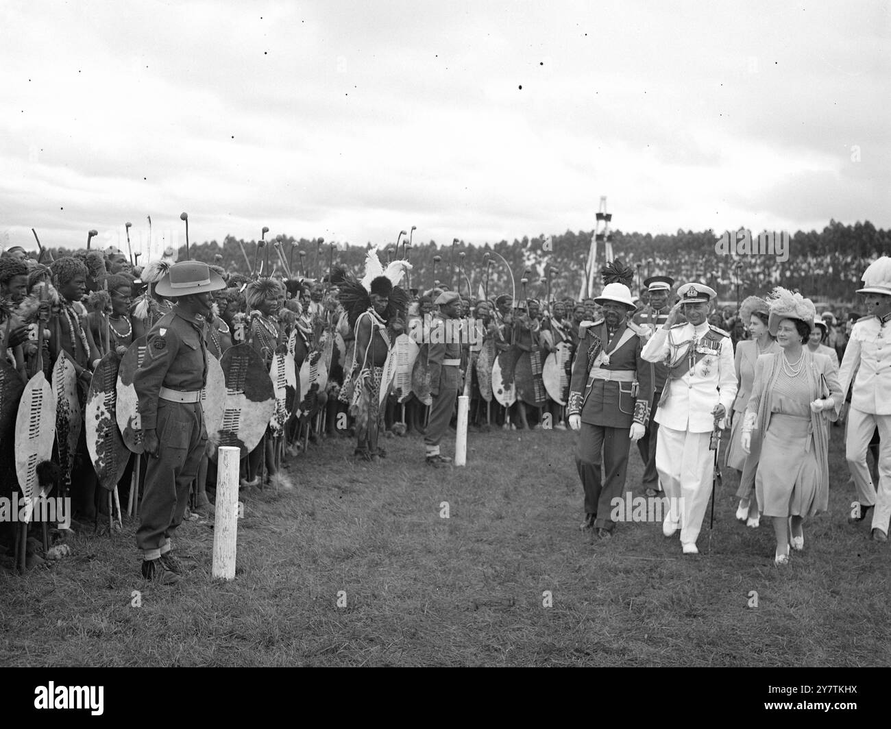 Swazi warriors whistle greeting to Royal FamilyA mass of Swazi warriors ...