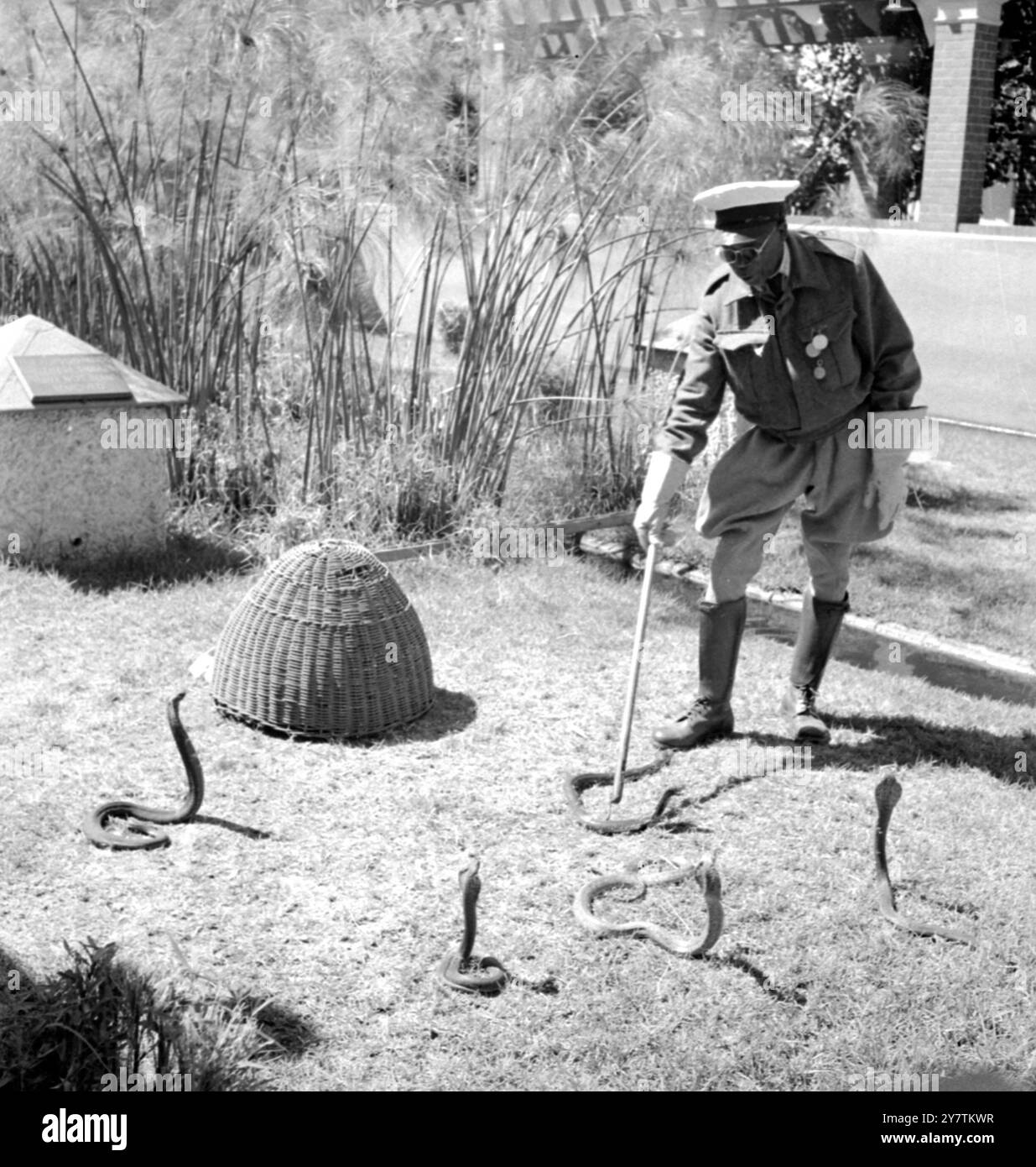 Royal tour of South Africa Visit to Snake Park at Port Elizabeth . The ...