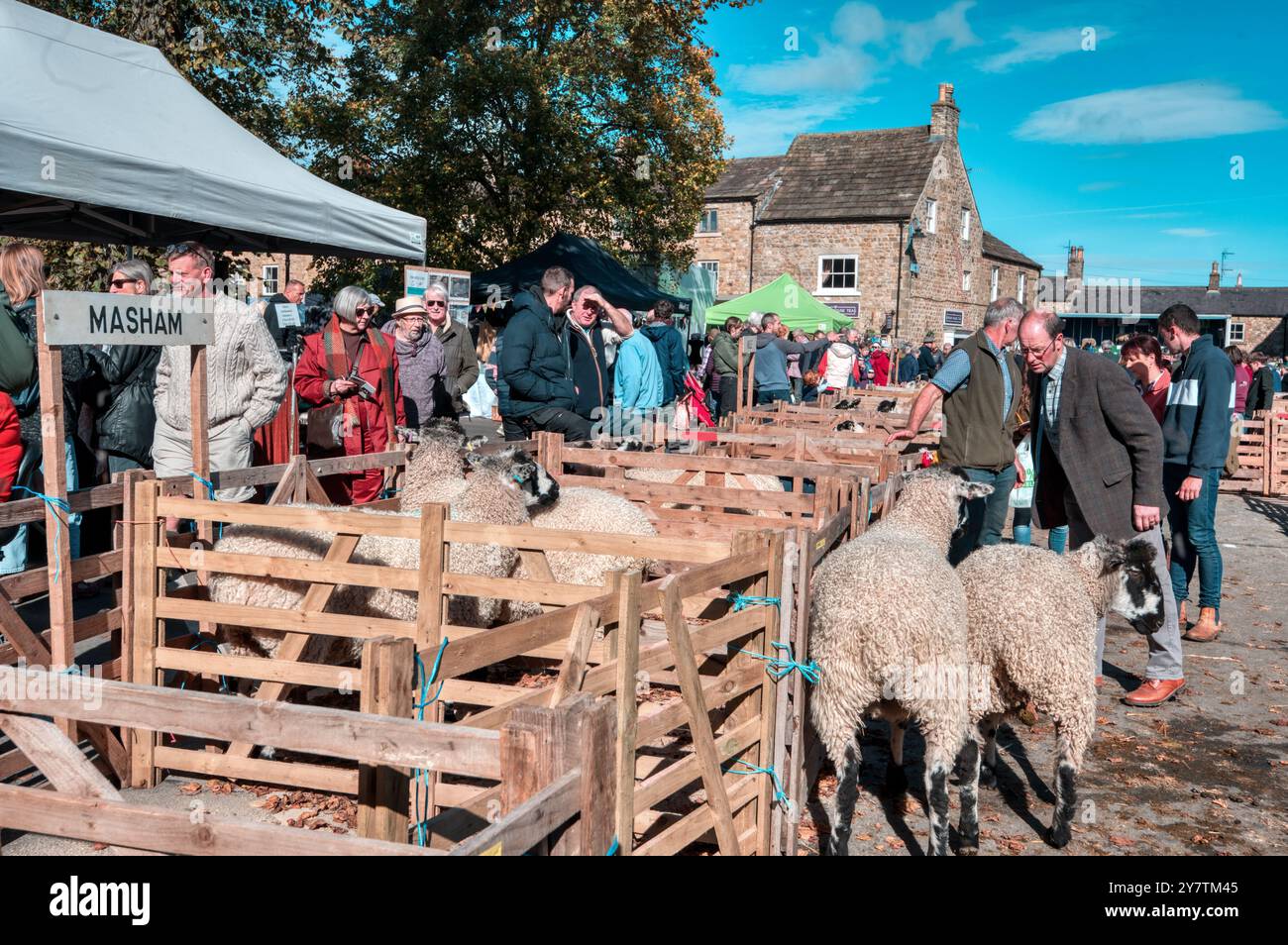 Masham Sheep Fair, Masham, near Ripon, North Yorkshire, UK Stock Photo - Alamy