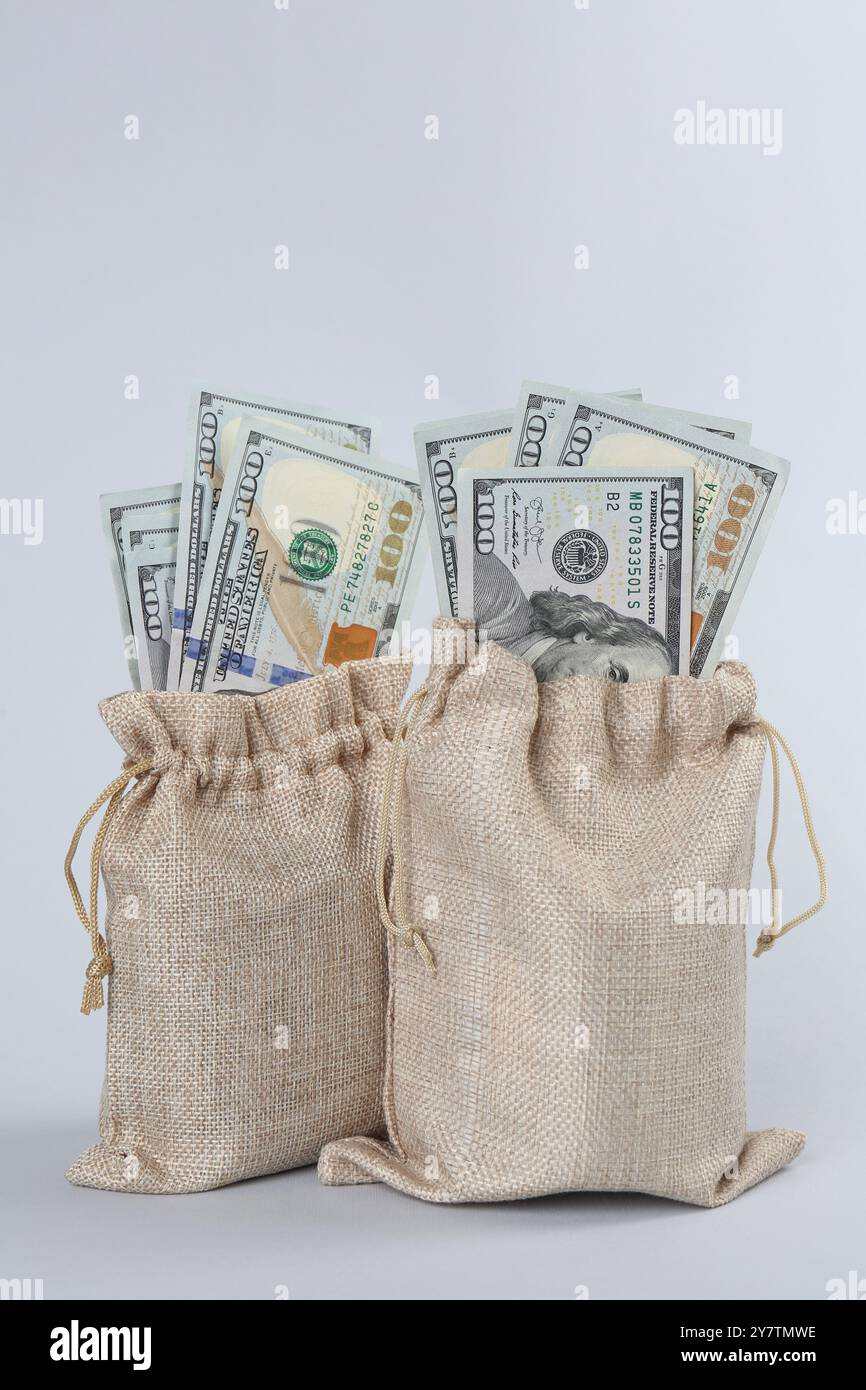 Dollar banknotes in bags on grey background Stock Photo - Alamy