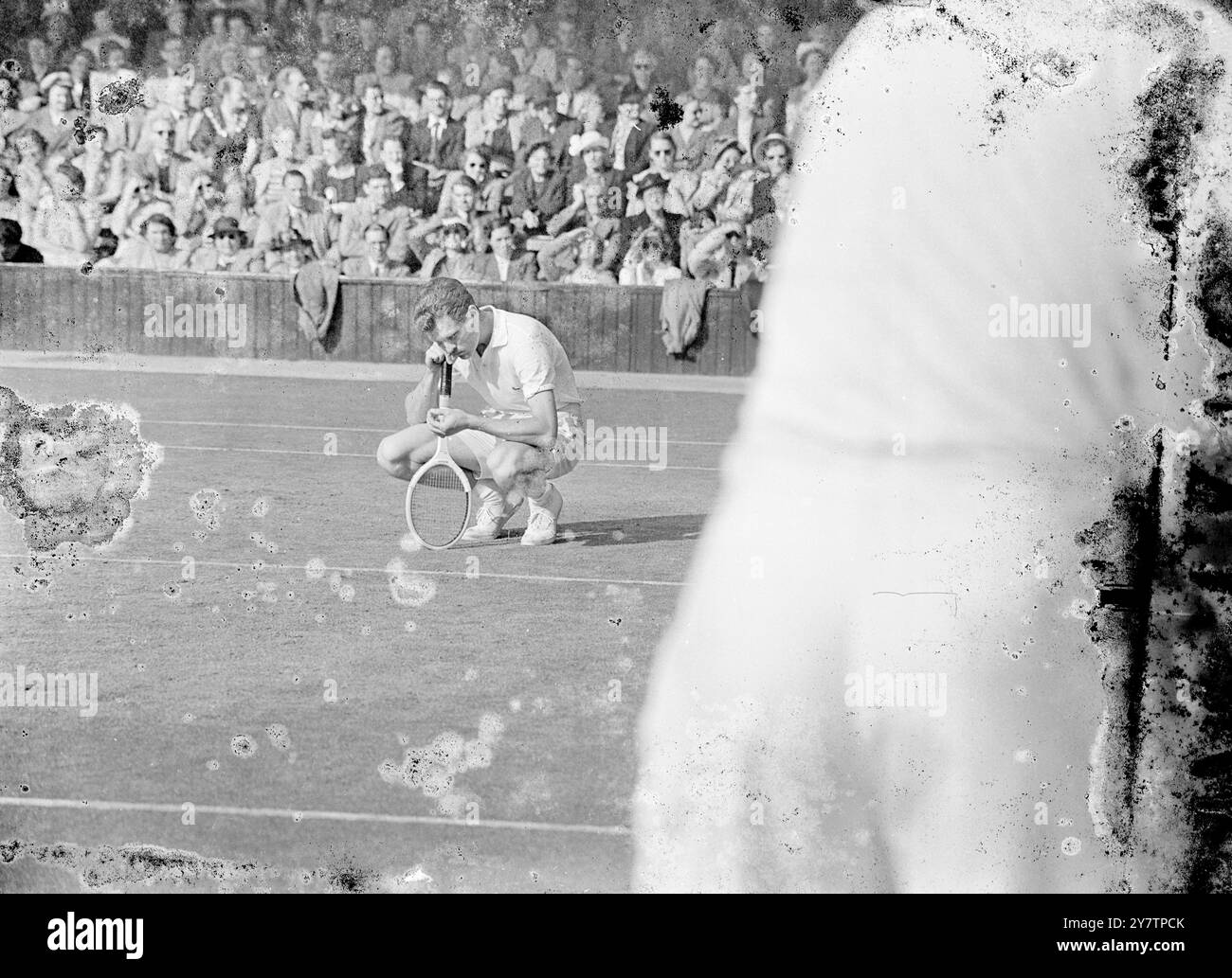 1950 wimbledon championships hi-res stock photography and images - Alamy