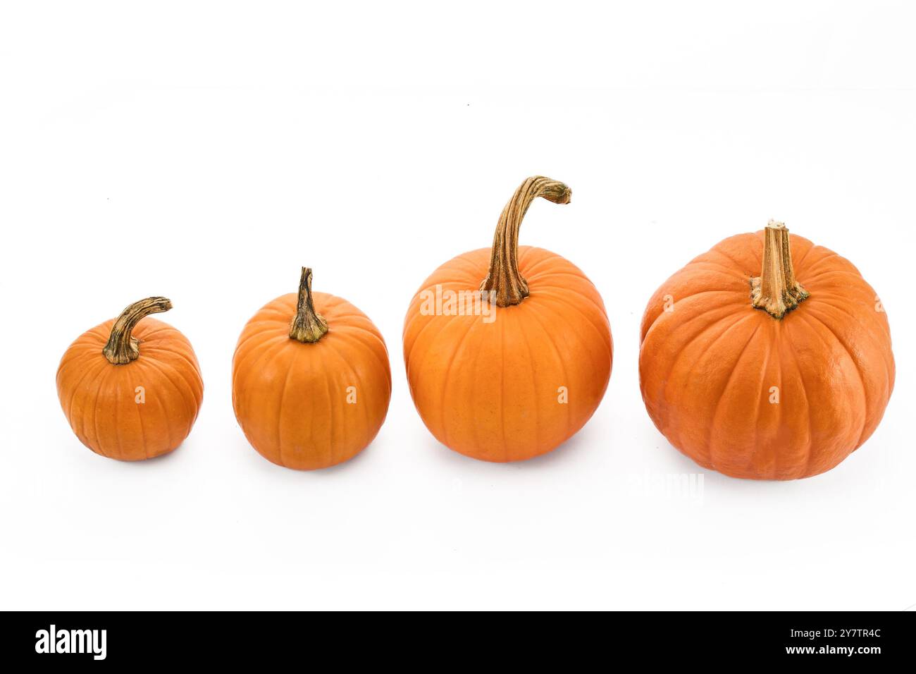 Gourds against white background hi-res stock photography and images - Alamy