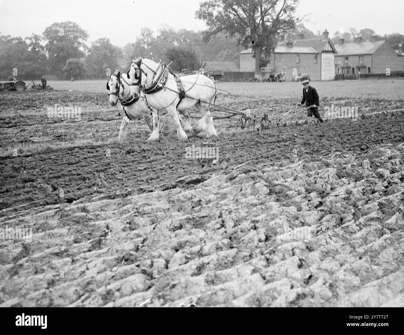 IN A PRIZE WINNING GROOVE Photo Shows: An 'old firm' takes the field in ...