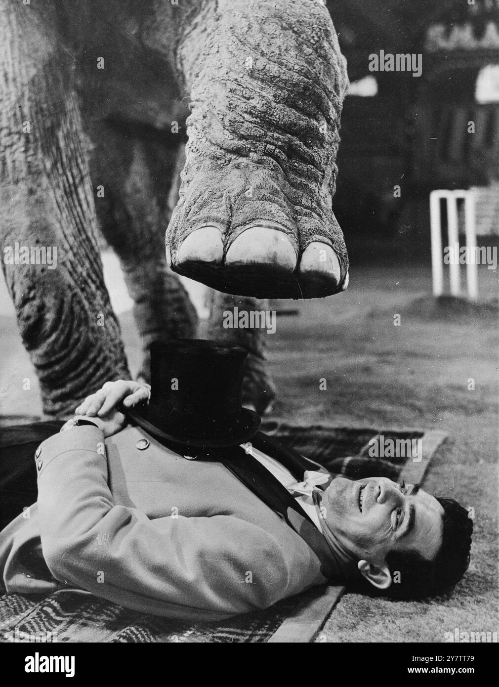 491223. FREDDIE AND THE FOOT. LEEDS: YORKSHIRE AND ENGLAND FAST BOWLER ...