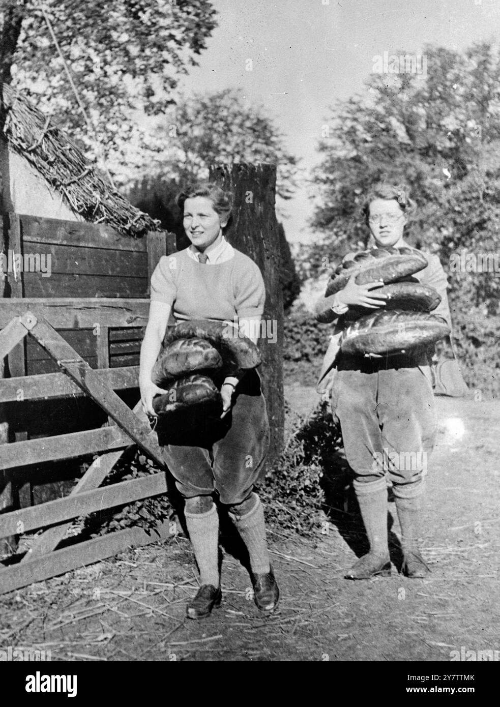 HARVEST LEAVES These traditional harvest loaves were specially baked ...