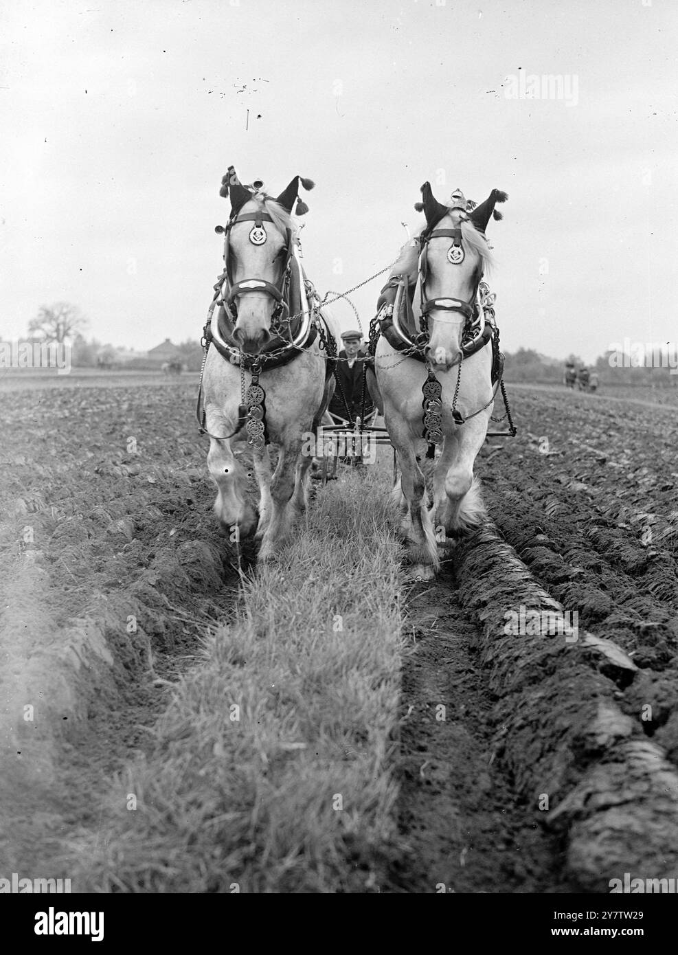IN A PRIZE WINNING GROOVE Photo Shows: An 'old firm' takes the field in ...
