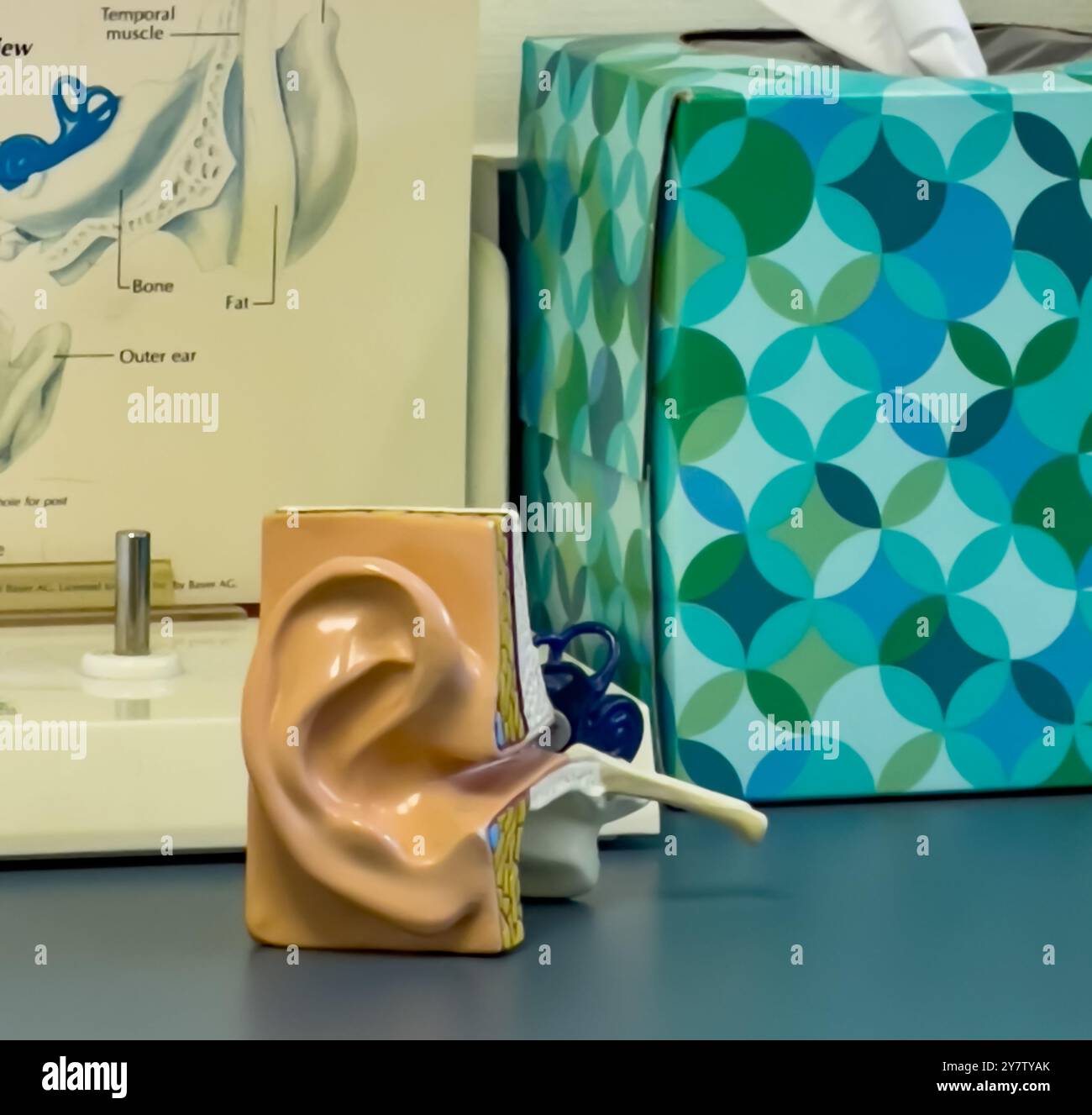 ENT Doctors exam room Stock Photo - Alamy