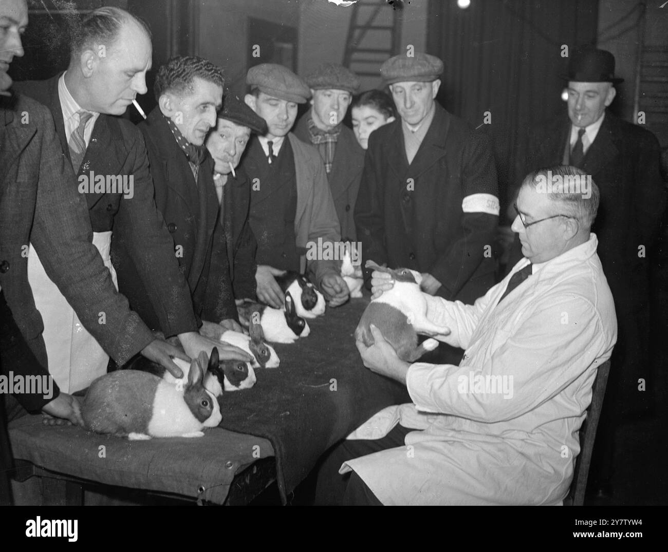 Five rabbits Black and White Stock Photos & Images - Alamy