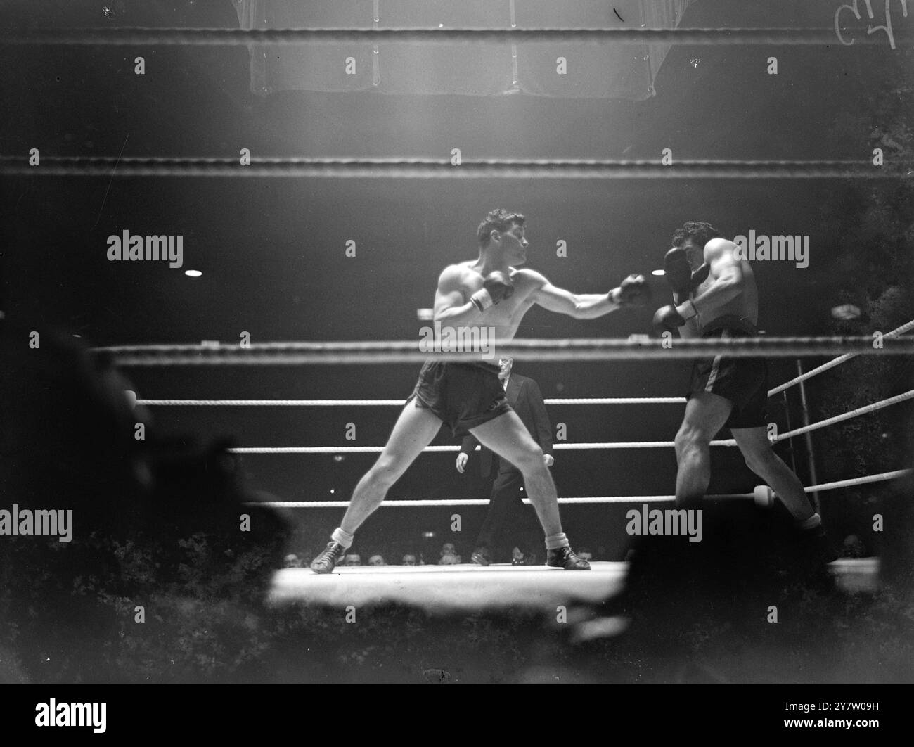 Bruce the boxer hi-res stock photography and images - Alamy