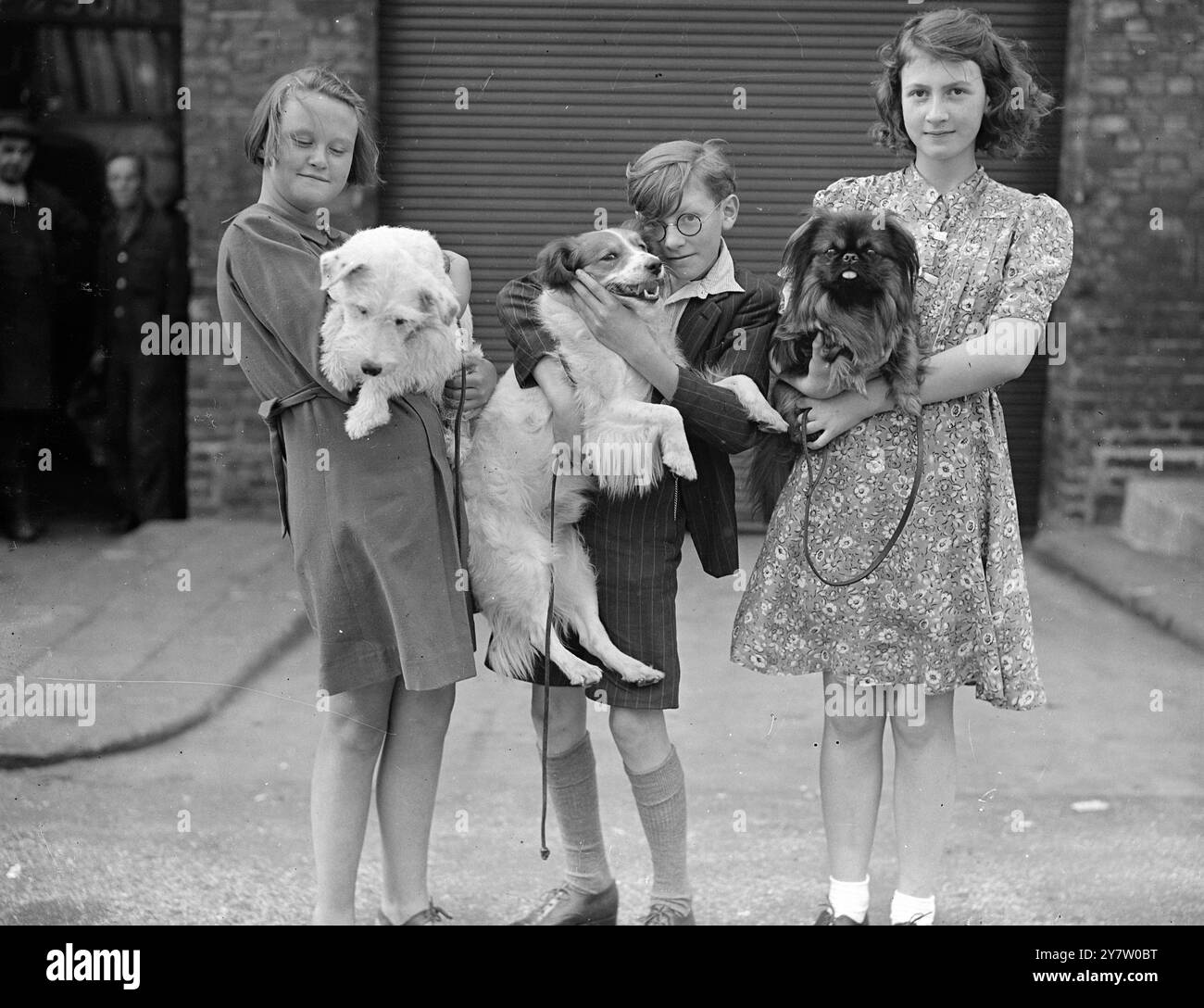 MONGRELS AND THOROUGHBREDS COMPETED IN THIS DOG SHOW Every sort of ...