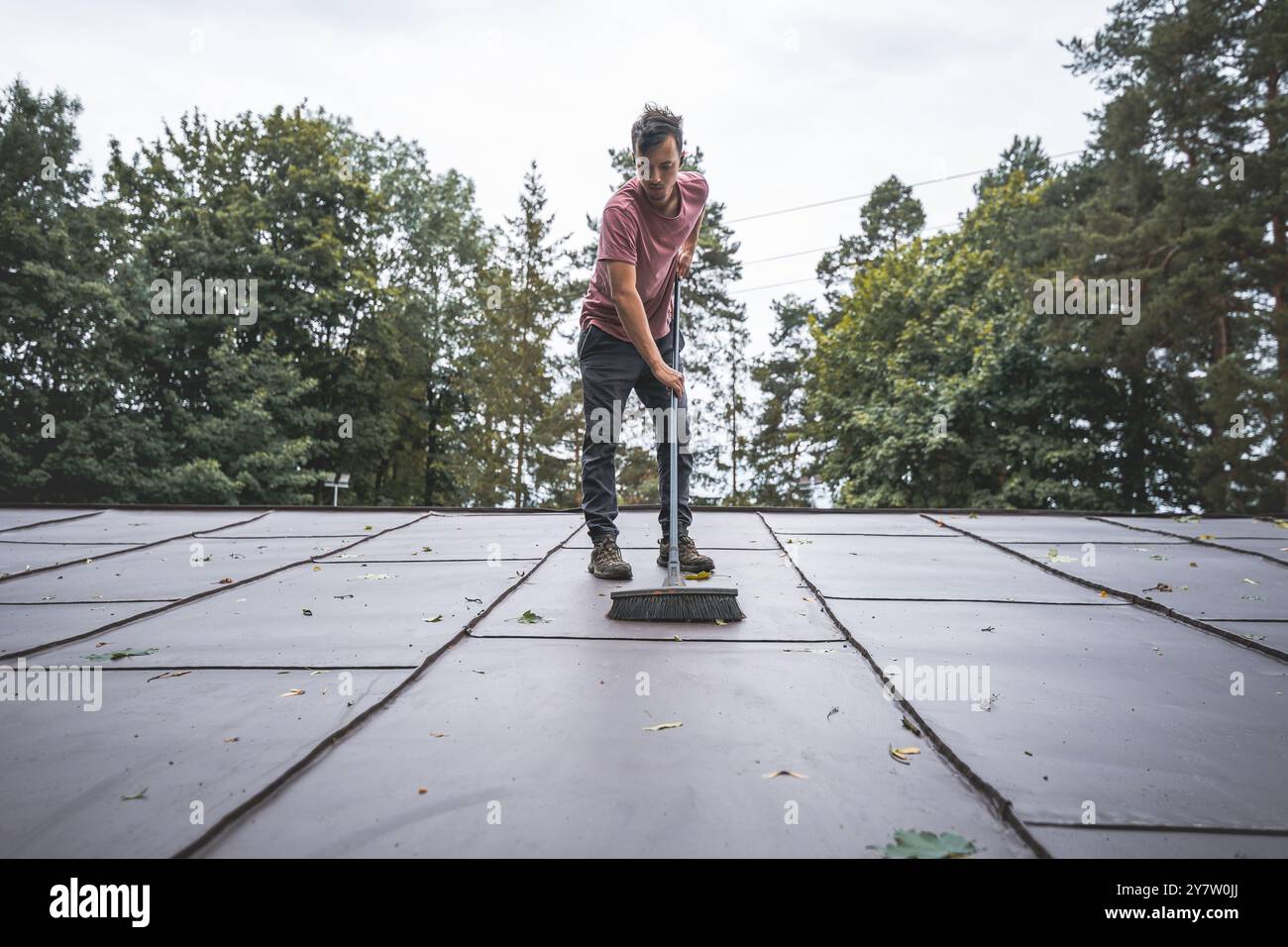 Man is cleaning a slanted roof with a long broom, surrounded by trees ...