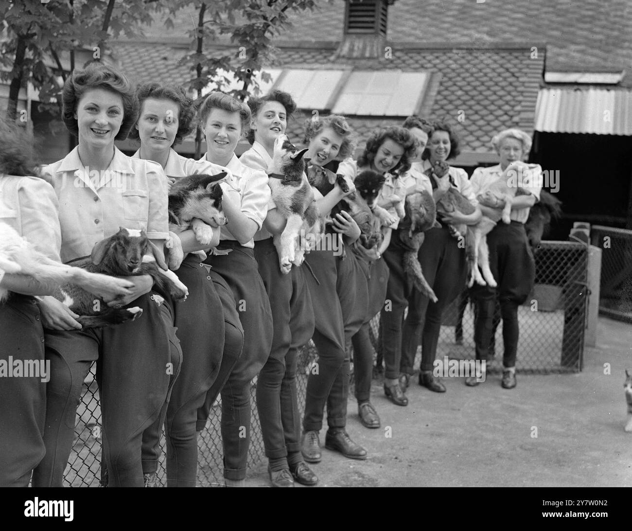 EX SERVICE GIRLS AS ZOO KEEPERS PREPARE FOR THE OPENING OF LONDON ZOOS ...