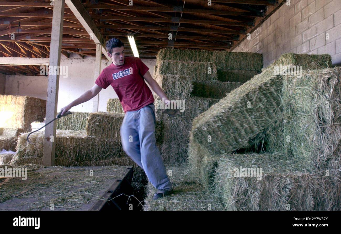 Evdg0297411 hi-res stock photography and images - Alamy