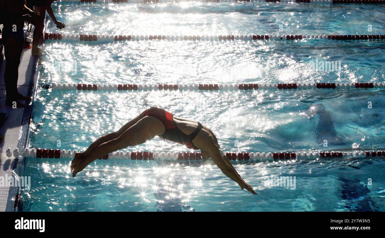 Stanford, Calif.,--Swimmer dives into the pool for her New Year's Day ...