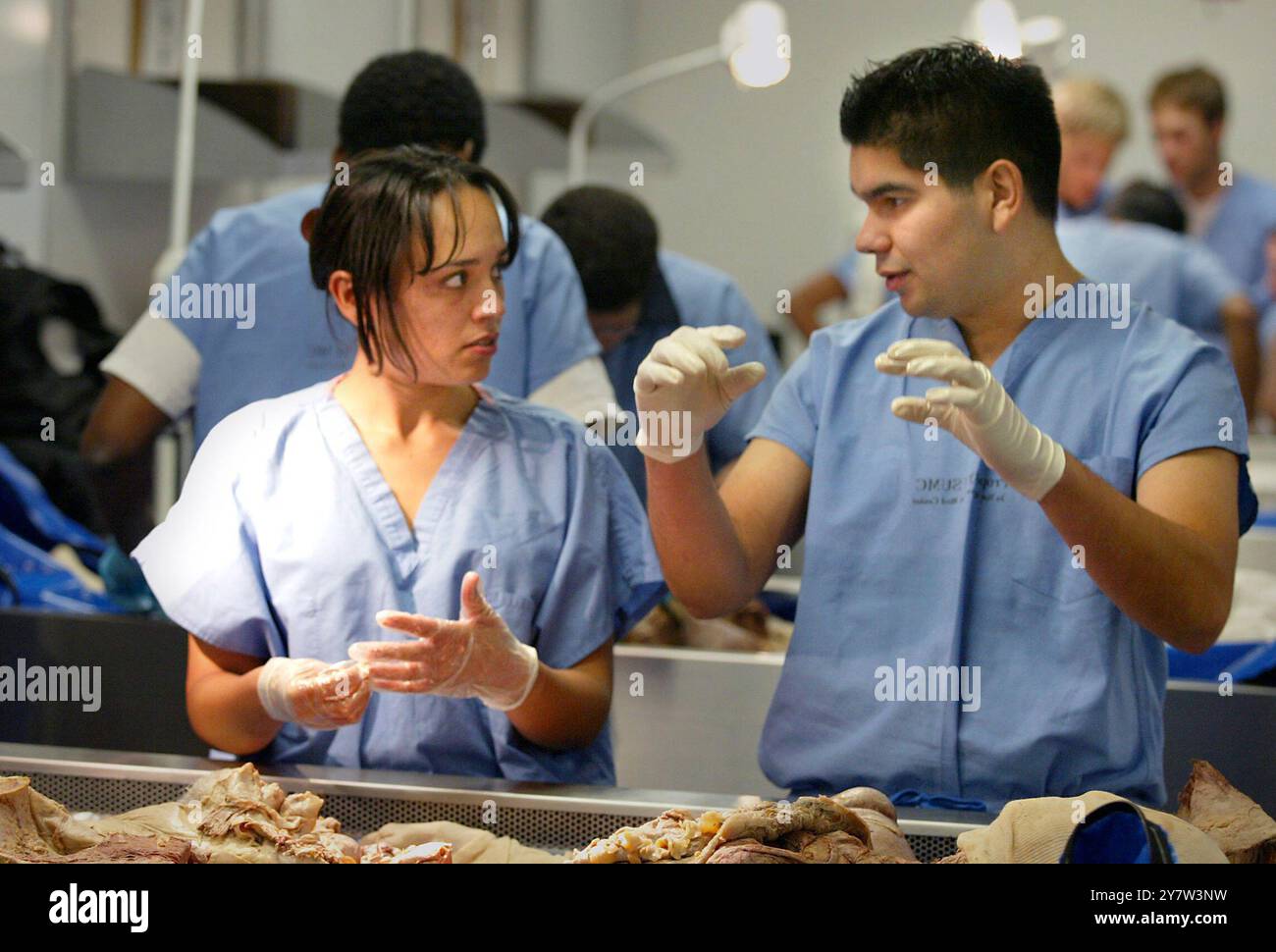 Stanford, A: October 30, 2003. --First year Stanford Medical students ...