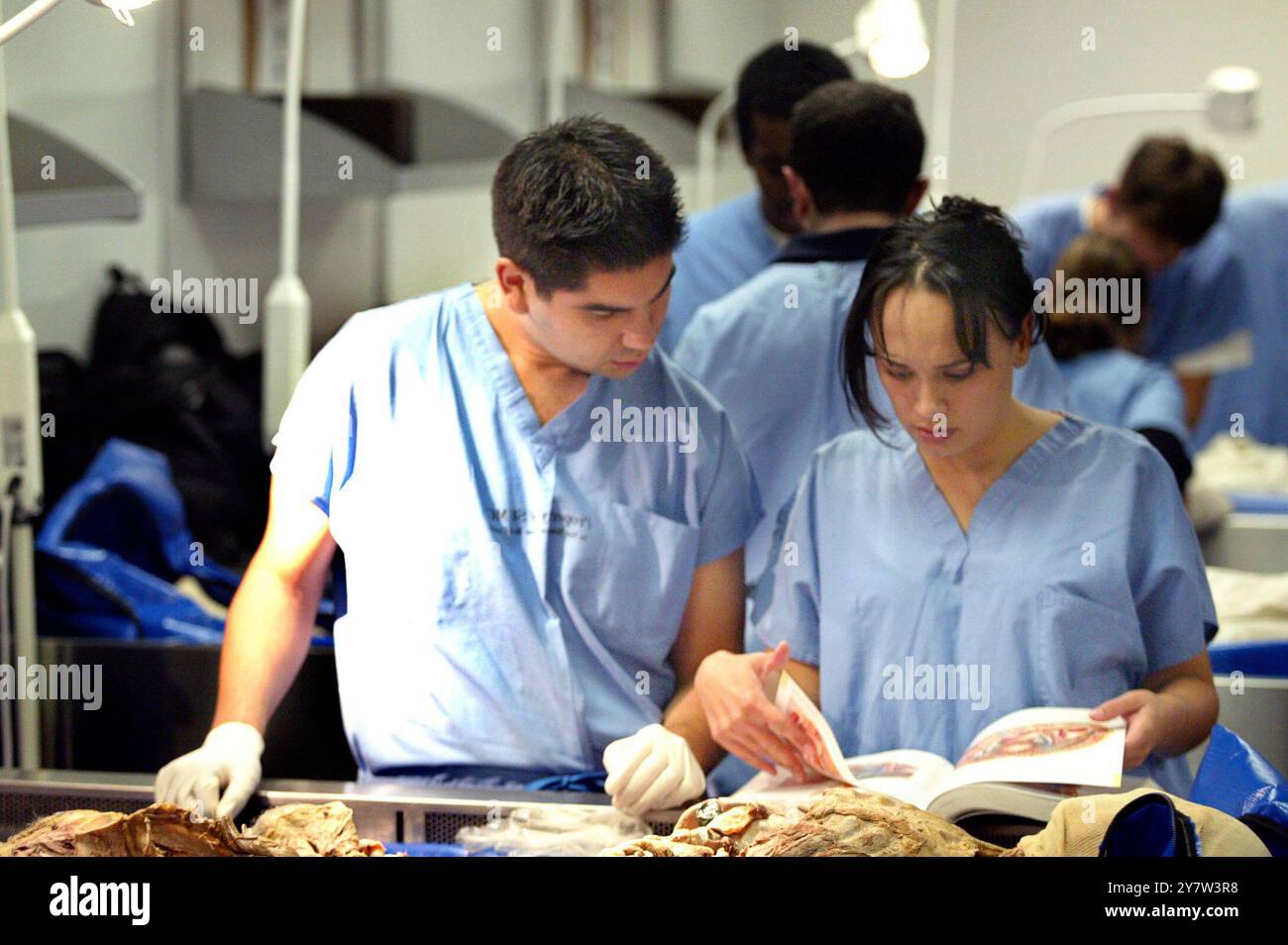 Cadaver dissection hi-res stock photography and images - Alamy