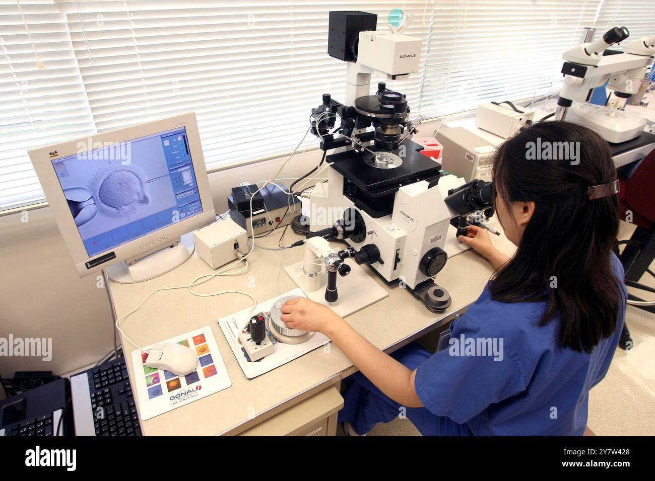 Icsi microscope hi-res stock photography and images - Alamy