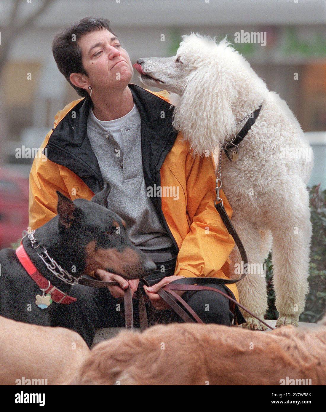 Lisa Powell receives a thank you kiss from Coconut after walking and ...
