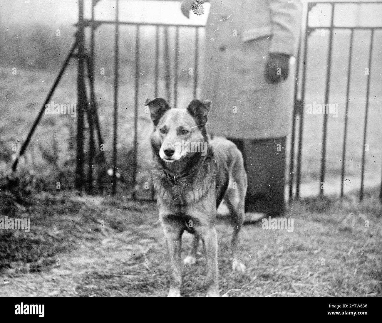 RUDOLPH HESS "UNFIT TO PLEAD" Rudolph Hess, Hitler ' s right hand man ...