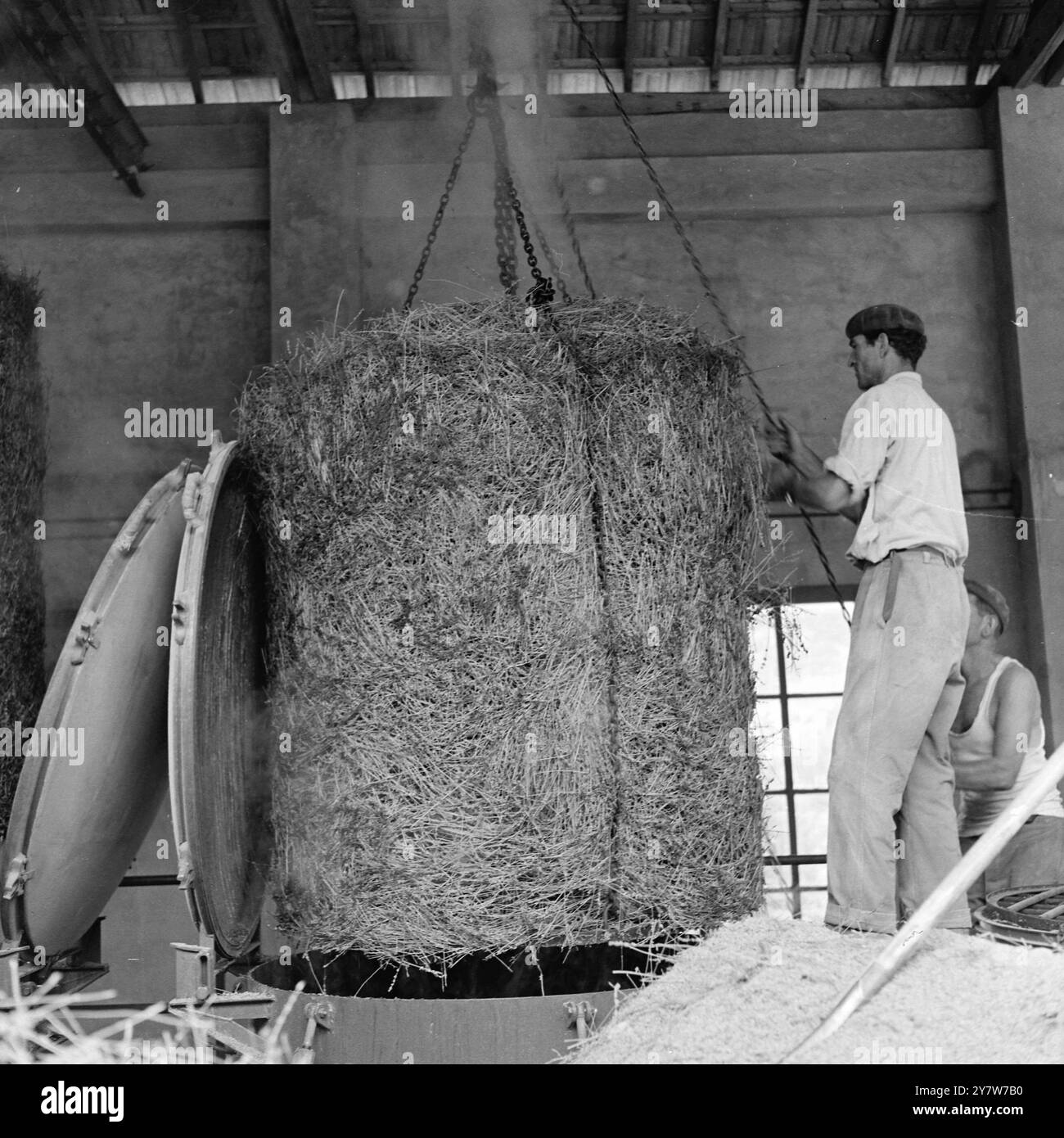 France - 1955Lavender removed from a large boiler where steam ...
