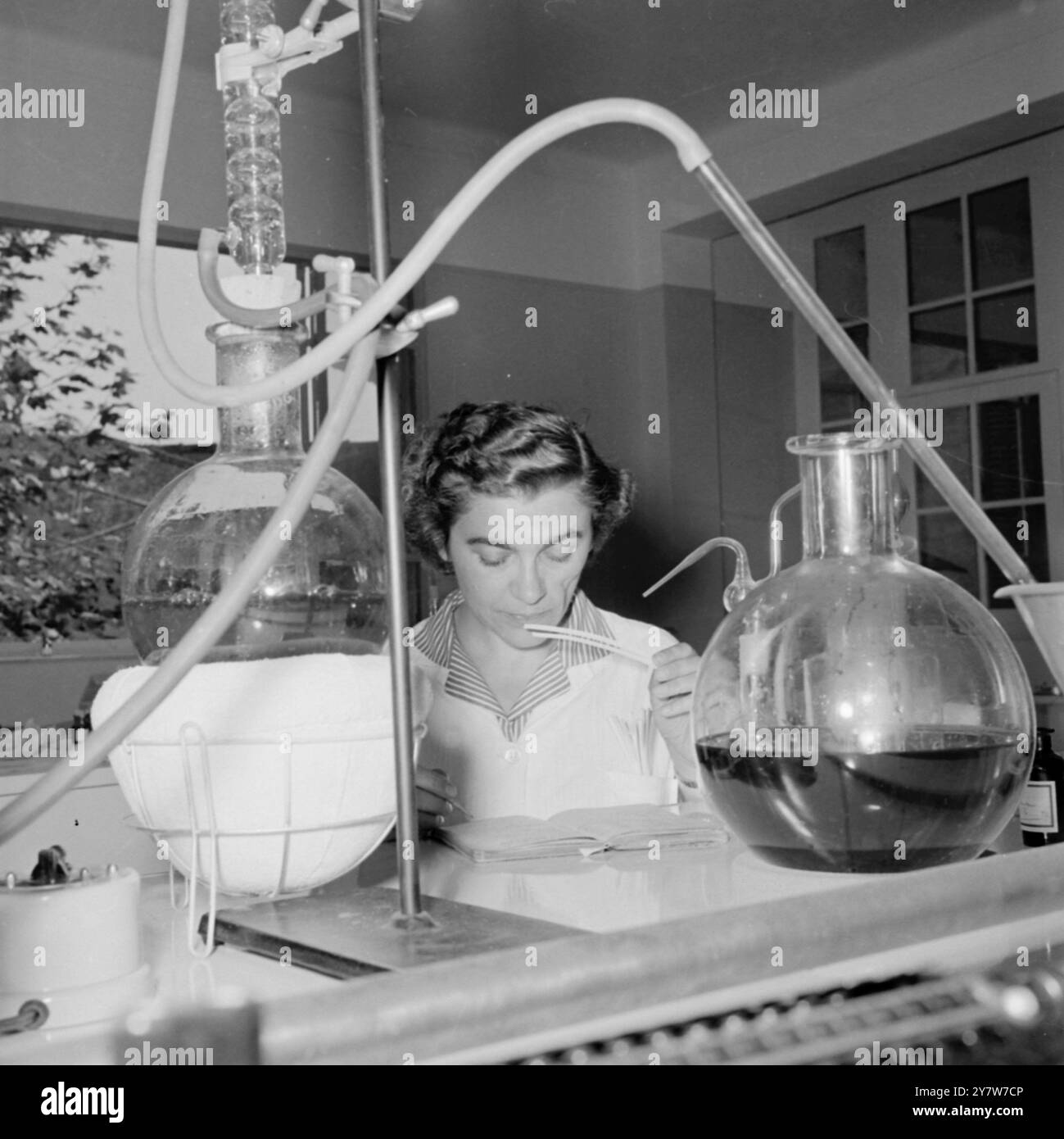 France - 1955A chemist olfactory testing during blending in the ...