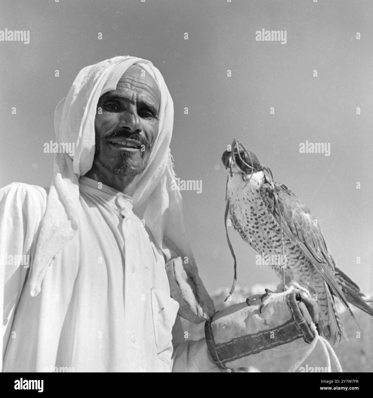 Qatar - 1954 Falconry is popular in Doha during the season . This Arab ...