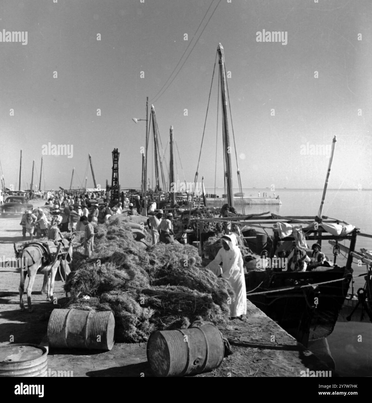 Qatar - 1954 Trading dhows unloading at the Givernment jetty on Doha ...
