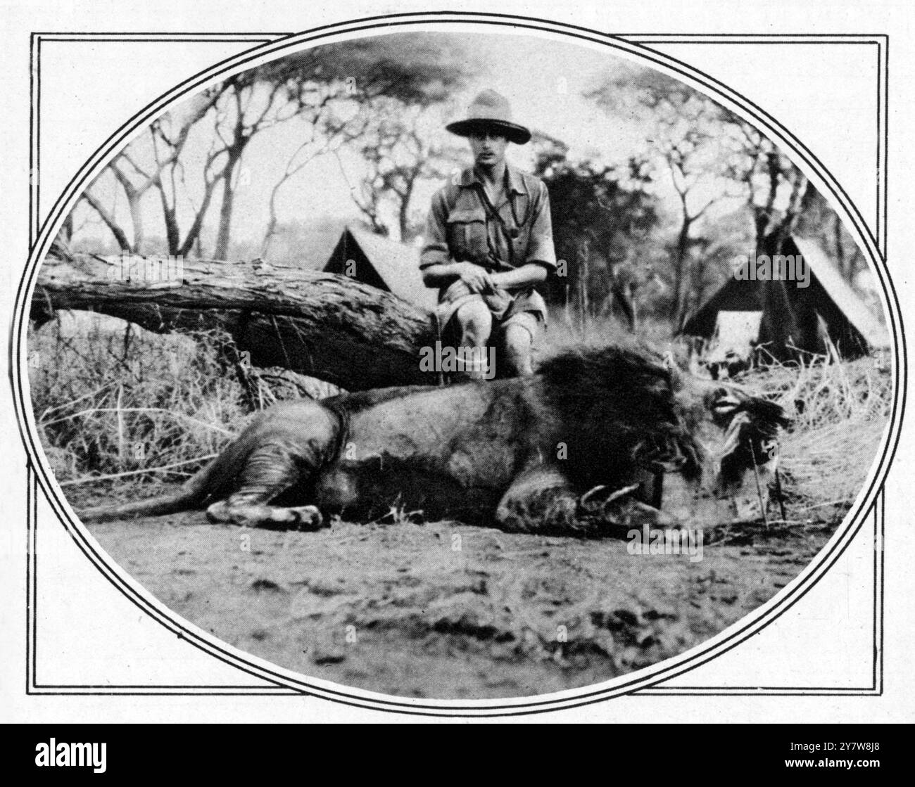 The Duke of Gloucester on safari : With a lion he shot at Lake Rukwa ...