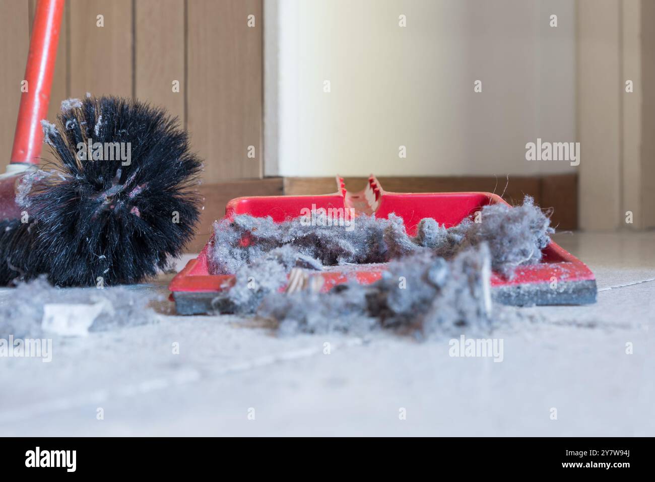 Dirty and house cleaning concept. Dust and dirt in a red dustpan ...
