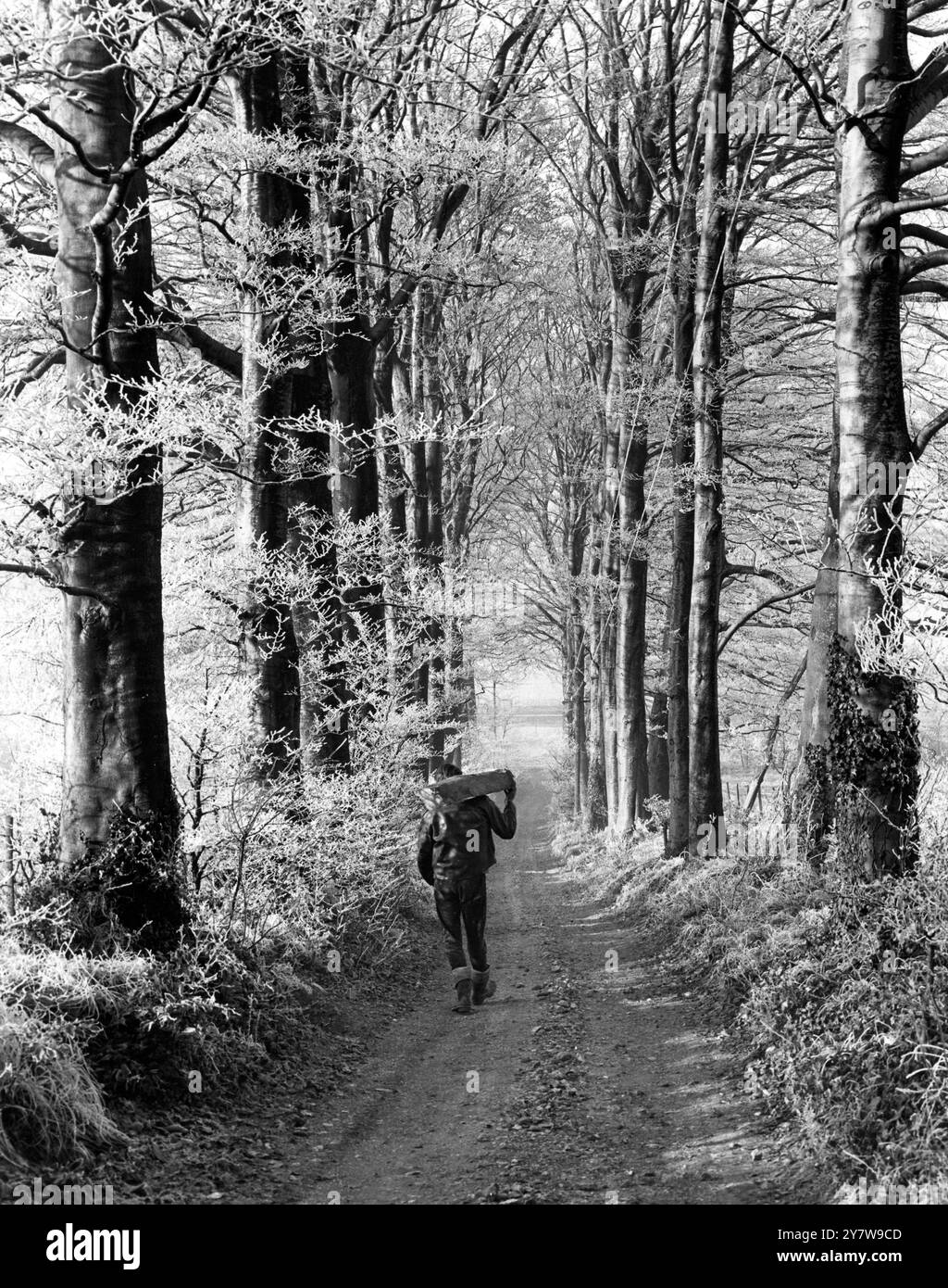1960s man walking rear view hi-res stock photography and images - Alamy