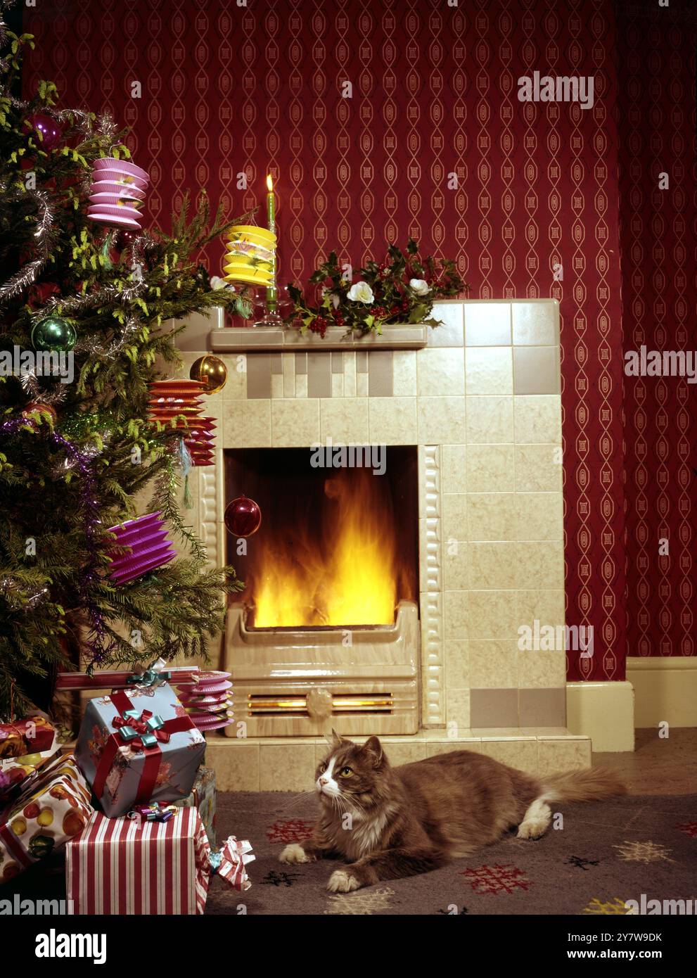 Sitting beside fire hi-res stock photography and images - Alamy