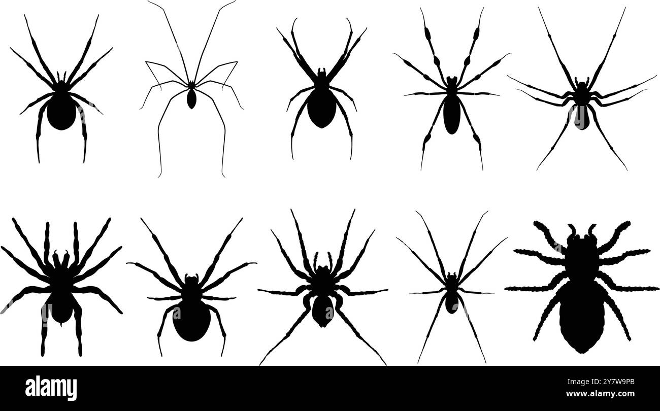 Set of Spiders Silhouette Stock Vector Image & Art - Alamy