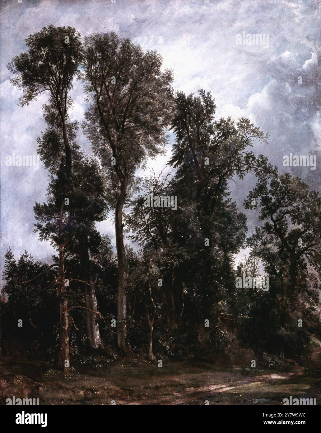 Trees near Hampstead Church by John Constable at the Victoria & Albert ...