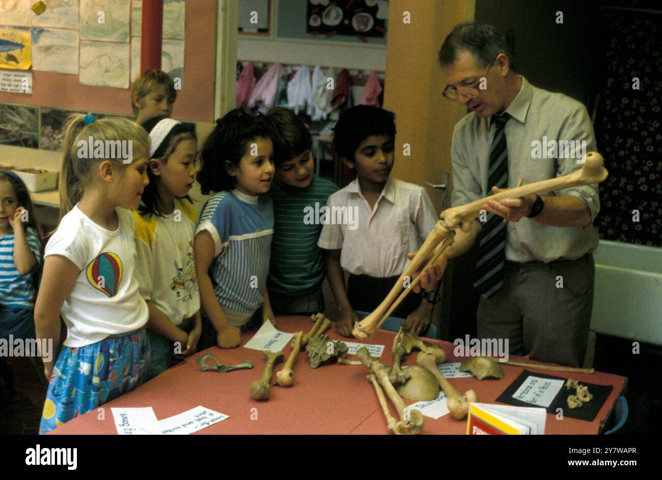 Primary school - teaching simple anatomy Stock Photo - Alamy