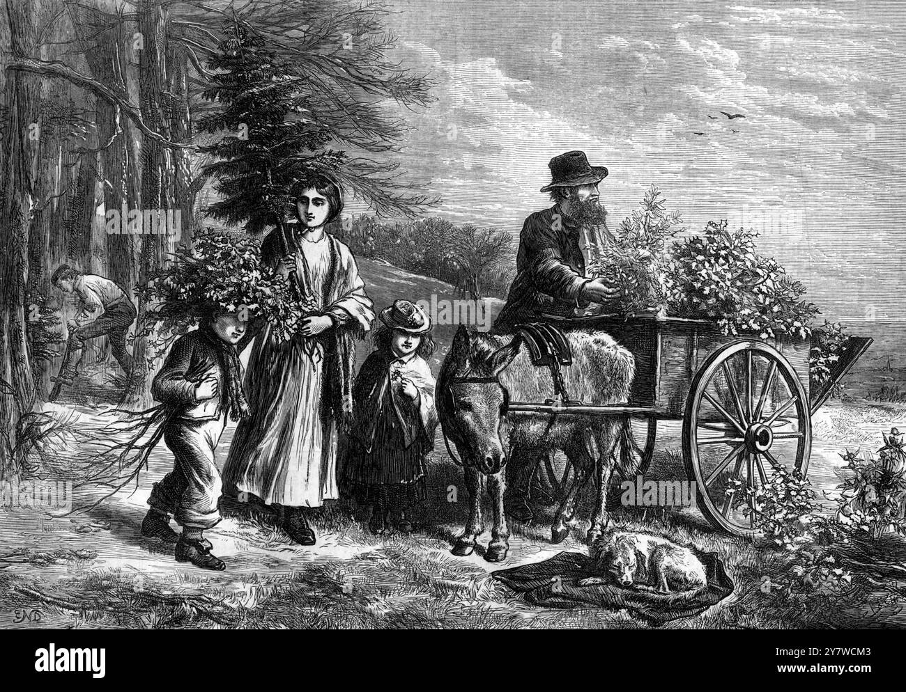 For the Squire's Hall - Drawn by E N Downard .16 December 1871 Stock ...