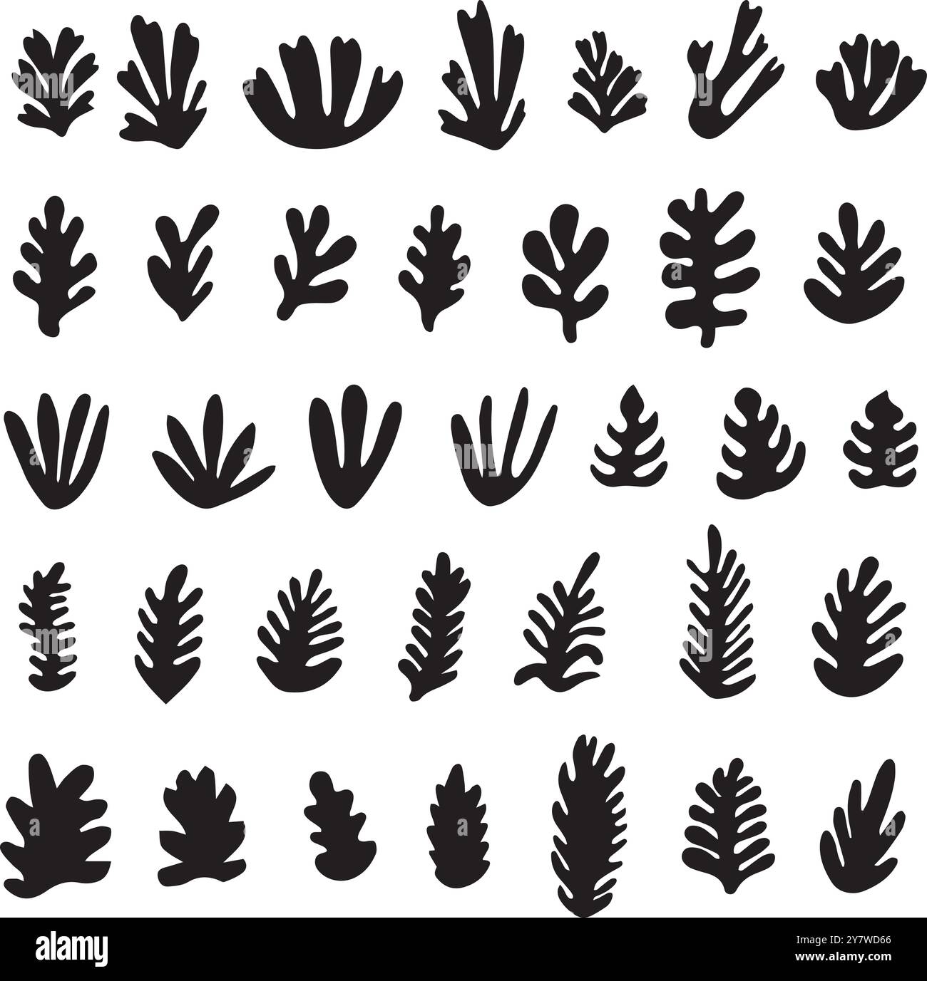 Abstract organic natural shapes Black and White Stock Photos & Images ...