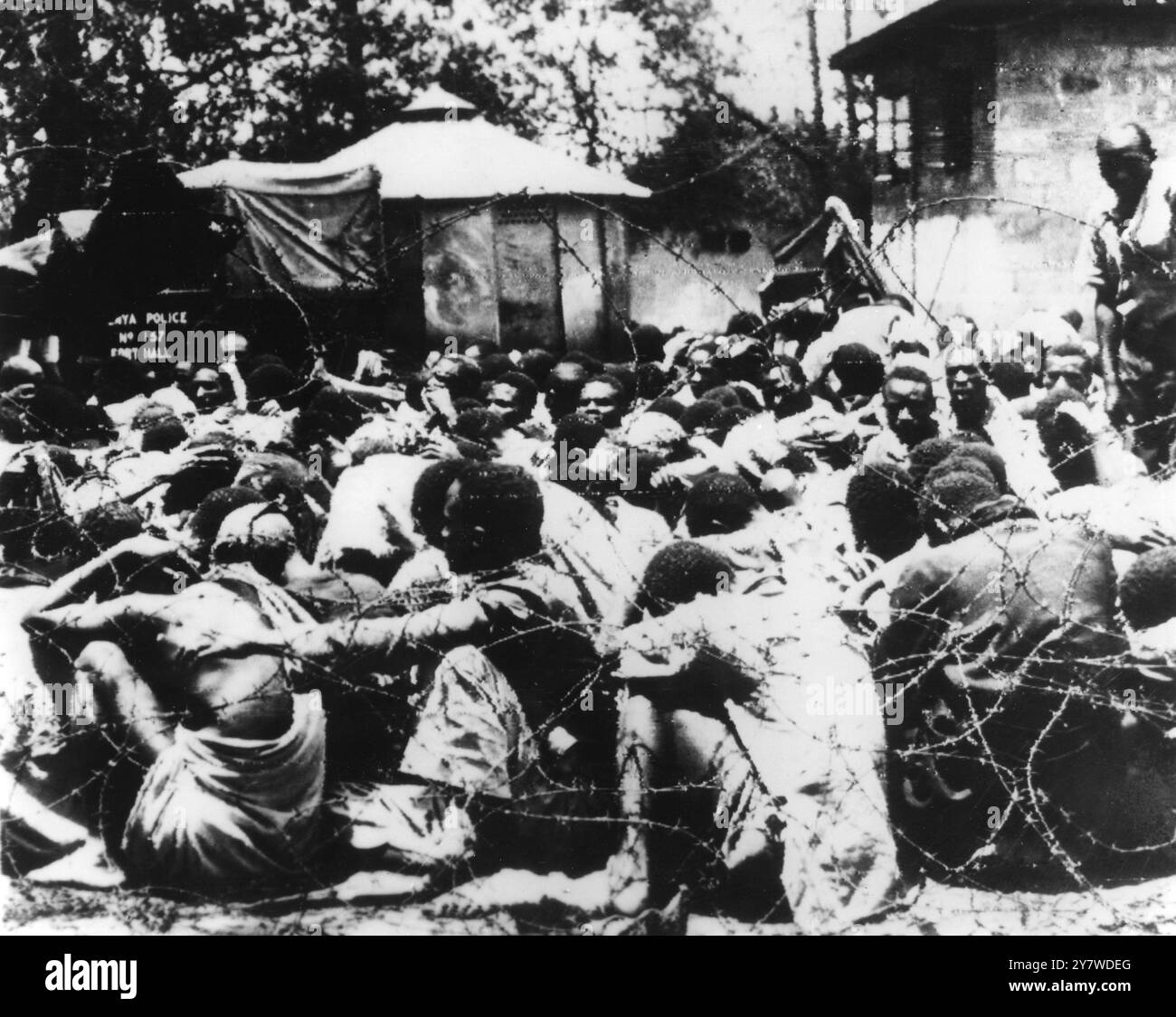 Mau Mau Massacre - Mau Mau Suspects Await Questioning Suspects behind a ...