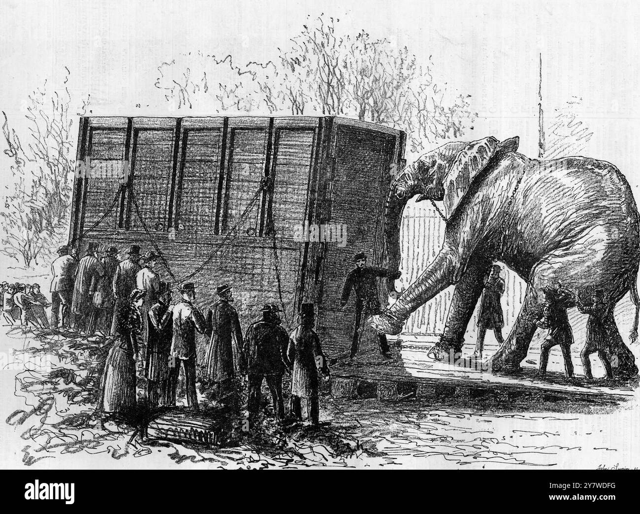 Jumbo , the big African elephant at his home at Regent's Park Gardens ...