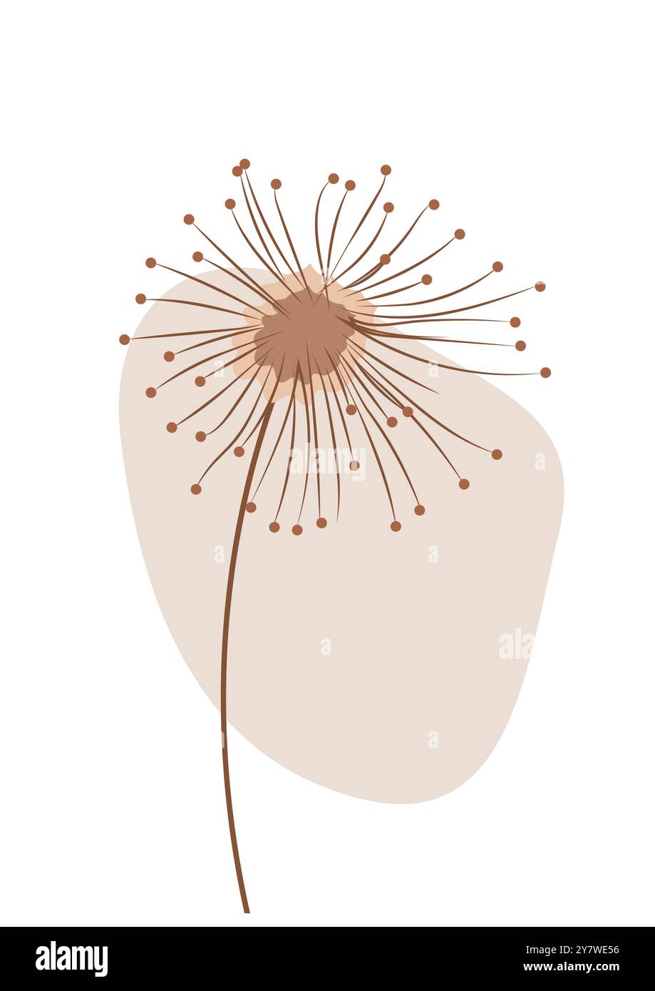 Abstract Dandelion vector & illustration Stock Vector Image & Art - Alamy