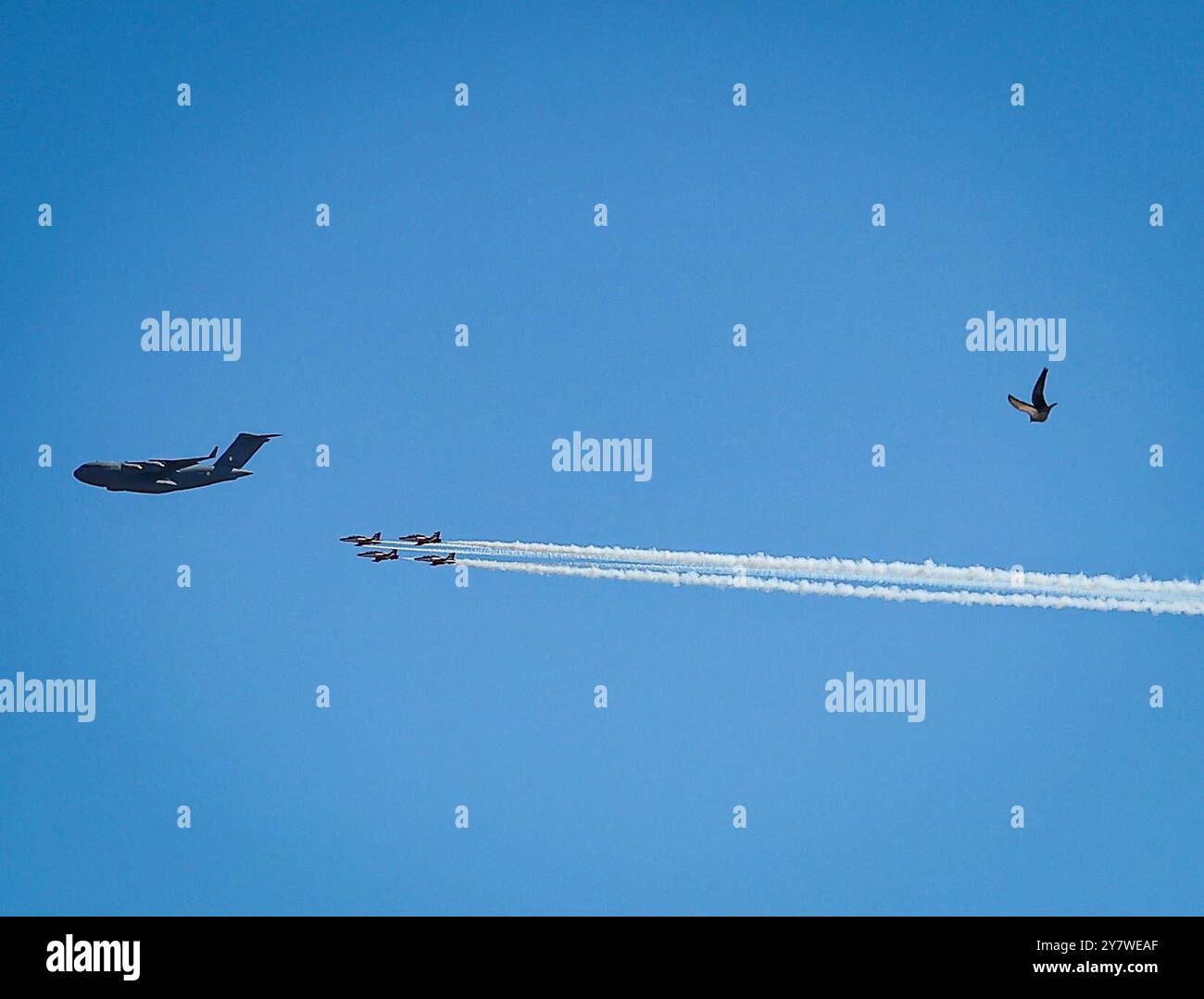 Air Show by IAF The Indian Air Force IAF s 92nd Air Adventure Show ...